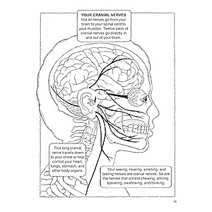 My First Book About the Brain (Dover Science For Kids Coloring Books)