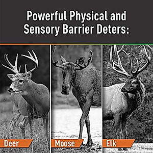 Messina Wildlife CLI-039 3/8-Inch Clips for Deer Repellent Fiberglass Stakes - 30 Pack, Black