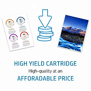 7Magic Remanufactured Ink Cartridge Replacement for HP 67XL Printer Ink for DeskJet 2755e 2755 2752 4155 Envy 6000 6055e 6055 6075 6400 6455 6455e 6475 6452 6458 Printer(1 Black, 1 Tri-Color)