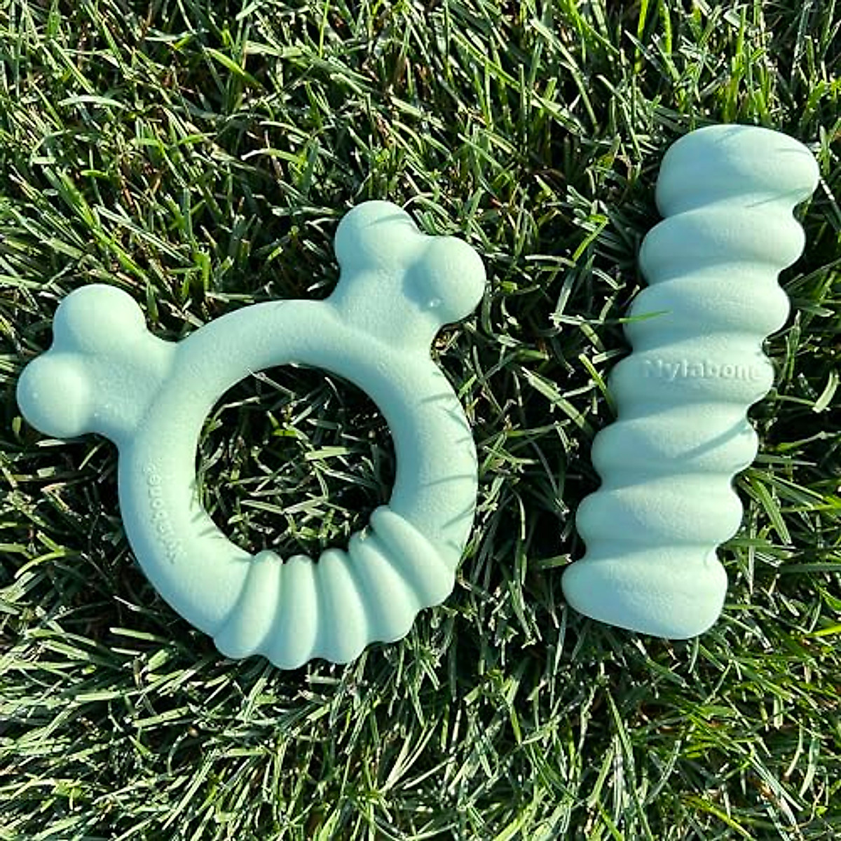 Nylabone Sensory Material Puppy Chew Toy Ring, Toys for Teething Puppies, Chicken Flavor, Small - Up to 25 lbs, 1 Count