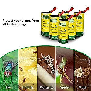 Enposmre 20 Pack Fly Traps for Indoors/Outdoor, Effective Paper Catcher Strips, Fruit Traps, Sticky Glue Hanging Tape Killer Ribbon House, Garden, Bullpen, Stable, Pasture, 20pack-Yellow