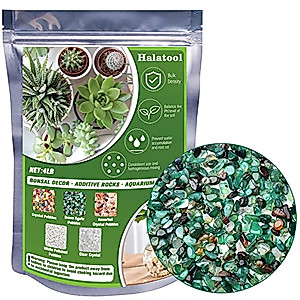 Halatool 4LB Green Pebbles 0.35"- 0.6" Natural Aquarium Gravel for Fish Tank Decorations Small Succulent Rocks for Indoor Outdoor Plants Landscaping Vase Filler