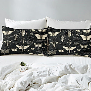 Butterfly Moth Insects Fitted Sheet Twin Size,Bug Beetles Entomological Bed Sheet for Kids Boys Teens Men Bedroom Decor,Nature Animal Bedding Set Retro Black Brown Deep Pocket Sheet,1 Pillowcase