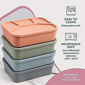 Spoondrift 100% Food Grade Eco-Friendly Leak-Proof Silicone Bento Box Lunchbox, Microwave Safe | For Child And Adult, 4 Compartment, Choose from 6 Colors, Includes 1 Box (Terracotta)