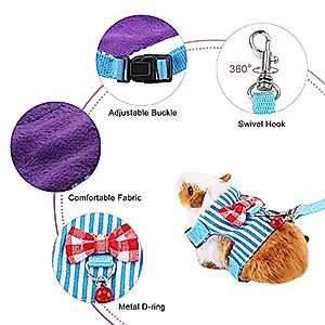 Filhome Small Pet Harness Vest and Leash Set with Bowknot and Bell Decor Chest Strap Harness Adjustable Soft Breathable for Outdoor Walking Guinea Pigs, Ferret, Chinchilla(Blue)