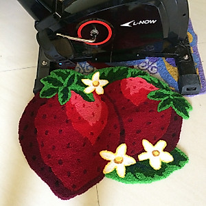 Newrara Strawberries Modern Shag Area Rugs Strawberries Mat Living Room Carpet Bedroom Rug for Children Play Solid Home Decorator Floor Rug and Carpets