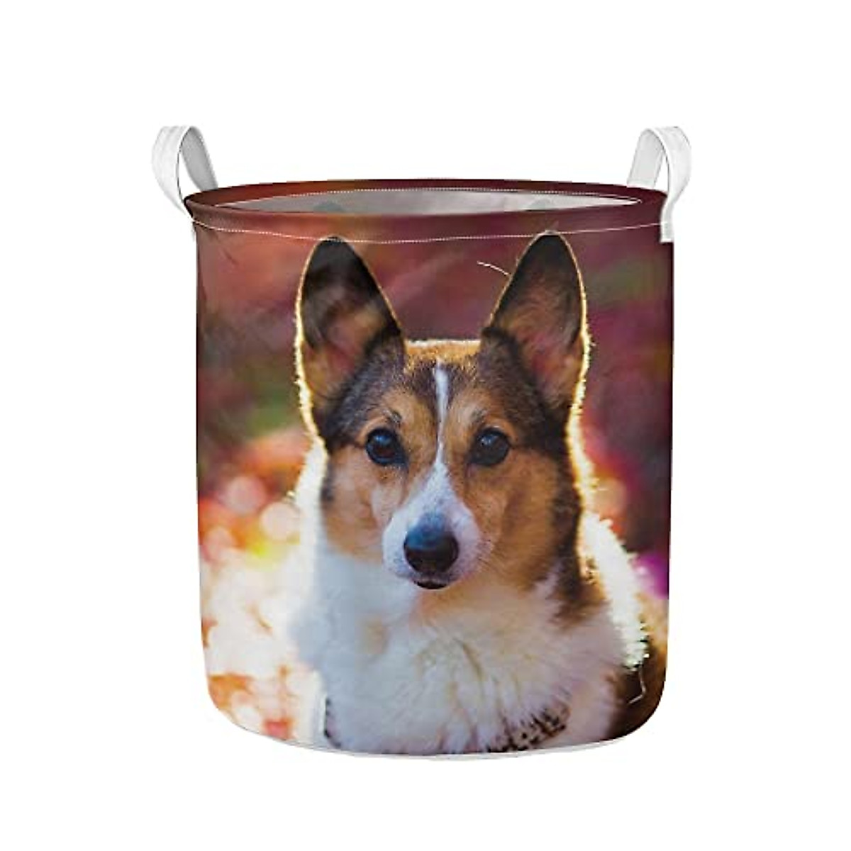 LJMKZJN Cute Large Corgi Dog Laundry Hamper Collapsible Large Laundry Basket Foldable Clothes Basket Portable Laundry Bin for Bedroom, Bathroom, Laundry Room,Washing Bin