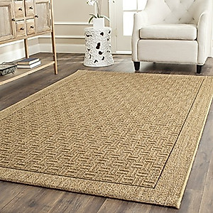 SAFAVIEH Palm Beach Collection Area Rug - 6' x 9', Natural, Sisal Design, Non-Shedding & Easy Care, Ideal for High Traffic Areas in Living Room, Bedroom (PAB359A)