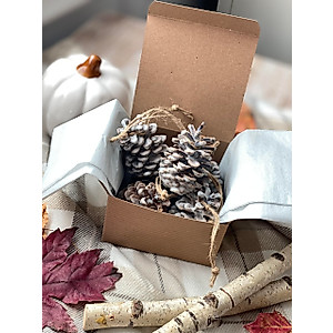 Fire Starters Scented Pine Cones | Fireside Natural Fire Pit Starters with Natural Soy Wax | Christmas Home Fragrance Fir + Cypress + Cedar + Amber + Moss | Set of 6 Pine Cones Gift Box