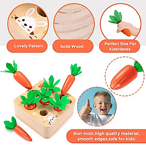 SGVV90 Shape Sorting Matching Montessori Wooden Toy, Farm Harvest Stem Puzzle Game with 7 Sizes Vegetables and Fruits, Developmental Preschool Educational Gifts for Toddlers (Carrot)