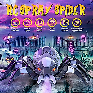 DEERC Remote Control Spider, Realistic Robot Spider with Spray and Lights, RC Big Boy Toys, Gifts for Kids, Easter Birthday Party Joke Pranks, Bot Black Widow Spider Real with Music Effect