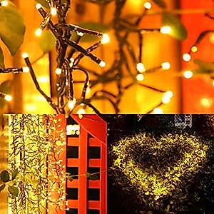 MWYYYJ 1120LED Cluster Christmas Lights Indoor String Lights Warm White 8 Modes Waterproof Christmas Tree Fairy Lights Patio Garden Party Wedding Holiday Decoration UL Certified