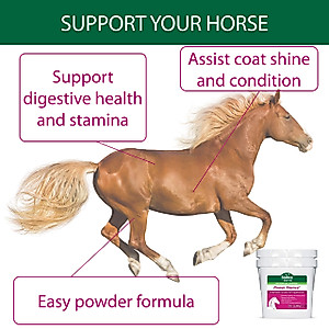 Power Stance Powdered Coconut Oil Horse Supplement - May Support Coat Condition, Digestive Health and Stamina, GMO & Sugar Free - 5 lb