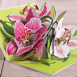 TRUANCE Pop Up Greeting Card Lily Flower- 3D Cards For Birthday, Anniversary, Mothers Day, Thank You Cards, Card for Mom, Congratulation Card, Love Card, All Occasion