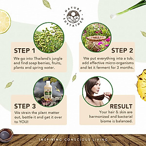 Nature Sustained Organic Shampoo - Raw & Wildcrafted with Probiotics, Hypoallergenic Natural & Sulfate Free Shampoo for Sensitive Scalp, Dry Hair, Dandruff, Eczema & Psoriasis, 9oz, Lemongrass