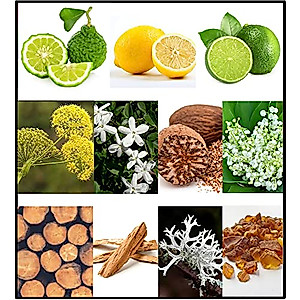 Fila RED for Men - Classic, Intense, Long Lasting Men's Fragrance For Day And Night Wear - Notes Of Bergamot, Lemon, Lime, Jasmin, And Sandalwood - Streamlined, Portable Bottle Design - 8.4 Oz