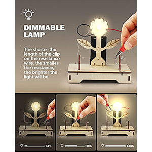 Poraxy 6 in 1 STEM Toys for Kids Ages 8-12, STEM Kits, 3D Wooden Puzzles, Educational Science Projects Building Model Kits, Birthday Gifts for Boys and Girls Ages 7 8 9 10 11 12 13 Years Old