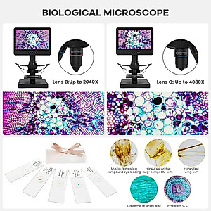 Andonstar AD249S-P 10.1 Inch HDMI Digital Microscope, 4000x 3 Lens 2160P UHD Video Record, Biological Microscope Kit for Adults and Kids, Coin Microscope for Error Coins, Prepared Slides, 32G SD Card