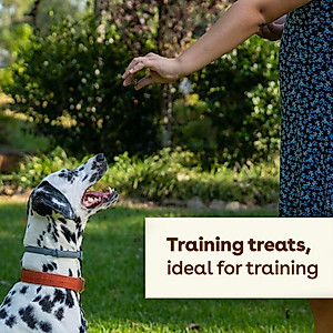 Pupford Freeze Dried Training Treats for Dogs & Puppies, 475+ Three Ingredient Bites (Beef Liver, 4 oz)