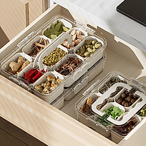 Divided Veggie Tray with Lid and Handle 9 Compartment Serving Tray with Dividers Portable Travel Snack Containers Stackable Snackle Box Charcuterie Container for Fruit,Vegetable,Salad (9 Containers)