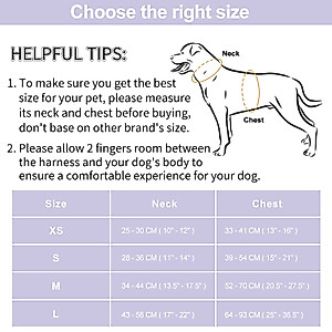 No Pull Lightweight Dog Harness: Adjustable Durable Breathable Mesh Pet Vest Harness with Soft & Comfortable Cushion, for Small Medium Large Dogs (S, Lilac)