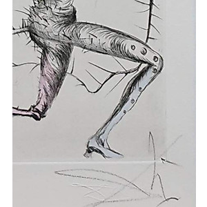 La Venus aux Fourrures The Winged Demon