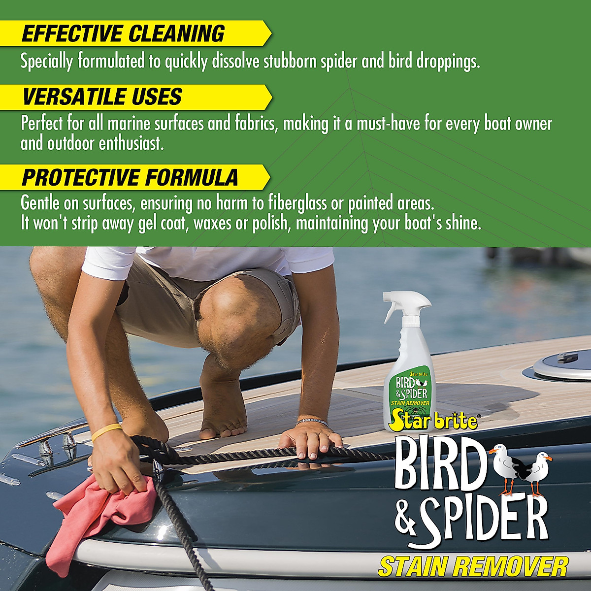 STAR BRITE Spider & Bird Stain Remover - 22 OZ (095122P) , White