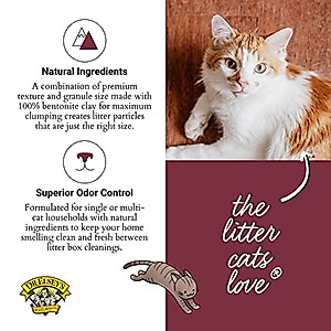 Precious Cat Classic Premium Clumping Cat Litter, 40 lb Bag