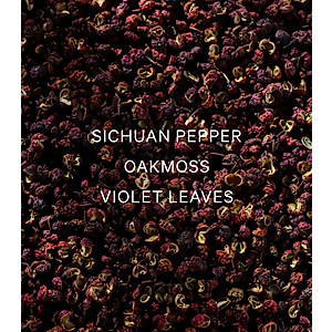 Victoria's Secret VS Him Platinum Men's Cologne, Cologne for Men (3.4 oz)