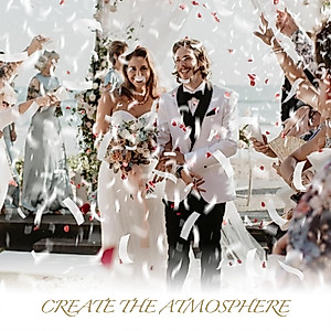 White Confetti Poppers,Rice Paper For Wedding,Biodegradable Confetti Cannon,6Pack Biodegradable Confetti Party Shooters Air Power, Party Party For Lawns Wedding,Birthday,Outdoor Celebrations