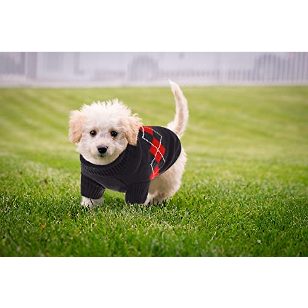 Phyxin Warm Dog Sweater Plaid Pet Knitted Turtleneck XS Puppy Sweaters for Small Dog Knitwear for Dogs Cats in Cold Winter Dog Pullover, Blue M