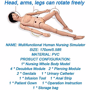 WFZY 5.5ft Patient Care Human Model PVC Anatomical Human Model Female Nursing Mannequin Removable Demonstration Human for Students Education Teaching Skills