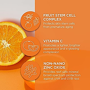 Andalou Naturals Vitamin C BB Beauty Balm Sheer Tint SPF 30, 2-in-1 BB Cream & Face Sunscreen with Broad Spectrum Protection, Mineral Sunscreen with Non-Nano Zinc Oxide, 2 Fl Oz