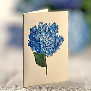Freshcut Paper Pop Up Cards, Nantucket Hydrangeas, 12 inch Life Sized Forever Flower Bouquet 3D Popup Greeting Cards with Blank Note Card and Envelope