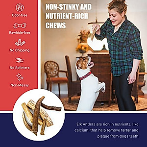 Devil Dog Pet Co Antler Dog Chew - Premium Elk Antlers for Dogs - Long Lasting Dog Bones for Aggressive Chewers - No Mess No Odor - Wild Shed in The USA - Veteran Owned (Medium)