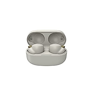 Sony WF-1000XM4 Industry Leading Noise Canceling Truly Wireless Earbud Headphones with Alexa Built-in, Silver