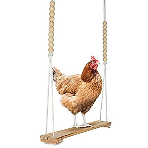 CW&WC Chicken Swing Toys for Chickens Coop with Adjustable Roost - Large Ladder Bar Accessories and Gifts Owners – Includes Ropes & Metal Hook (15.5In x 2.75In), A212