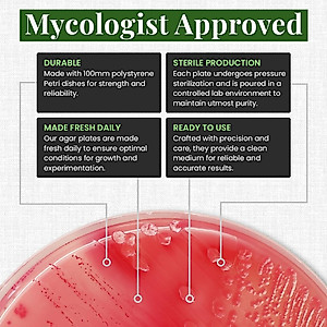 Gro Magik Premium Pre-Made Malt Extract Agar Plates for Mycology, Pre-Poured and Sterilized Agar Plates for Mushrooms to Support Robust Mycelium Growth (5 Pack)