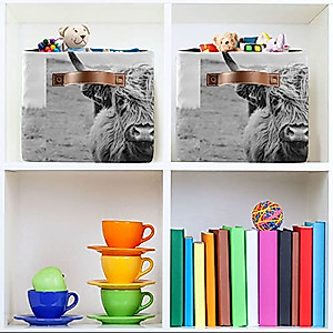 Kigai Highland Cow Storage Baskets Rectangle Foldable Canvas Fabric Organizer Storage Boxes with Handles for Home Office Decorative Closet Shelves Clothes Storage