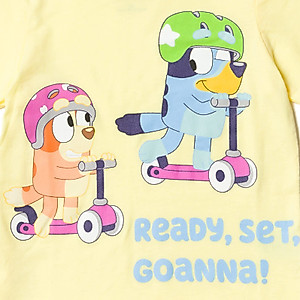 Bluey Bingo Toddler Boys 3 Pack T-Shirts Grey/Yellow/Green 4T