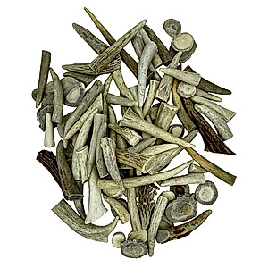 Deer Valley Dog Chews Deer Antlers (8oz Craft Kit) - Design Breathtaking Jewelry & Unleash Your Creativity with Premium Quality Antler Pieces for Stunning DIY Earrings, Necklaces, Bracelets and More