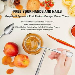 Grapefruit Spoons Serrated Edge Stainless Steel Fruit Knife Grapefruit Utensils Tool Dessert Spoons for Citrus Lemon Kiwi Salads Melon Lime Pitaya Apple Fruit Puree