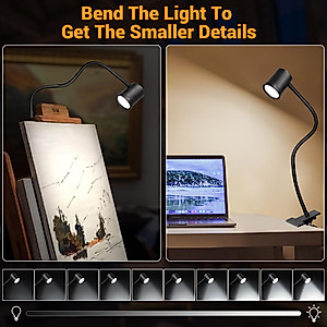 Reading Light, Reading Lights for Books in Bed, Reading Lamp, Book Light, Book Light for Reading in Bed, Clip on Light, Bed Lamp, Clip Light, Clamp Lamp, 3 Colors, 10 Brightness, Small Desk Lamp