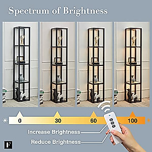 FENLO 66" Luxury Glass Display Shelf with Dimmable LED Floor Lamps, Sturdy Glass Shelves for Bedroom, Curio Cabinet with Glass Bookshelf Display Case, Floor Lamp with Shelves - Fantasy Black