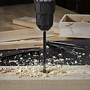 WORKPRO 10-Piece Pro Spade Drill Bit Set- Black Coating, Premium Carbon Steel, Paddle Flat Bits for Woodworking, Assorted Bits 1/4" to 1-1/2" with Storage Case