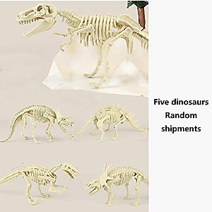 Dinosaur Fossils Dig Kit for Kids，Dig Up Dinosaurs Skeleton Set, Archaeology for Kids Educational Toys,Dinosaur Toys for Kids 8-12，Kids Gifts，Science Kits