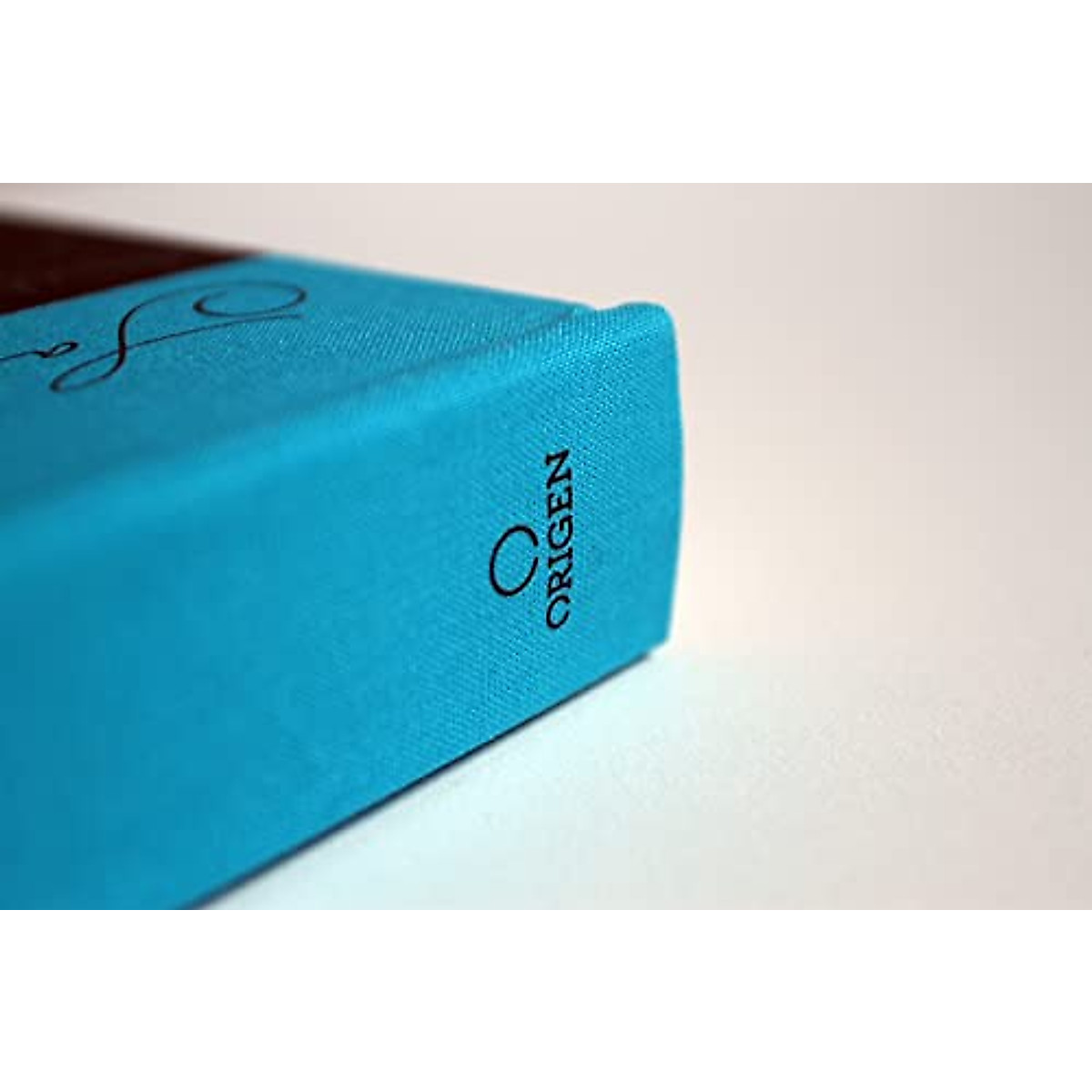 Biblia RVR 1960 letra grande, tamaño manual, tapa dura de tela León aguamarina / Spanish Bible RVR 1960 Handy Size Large Print Hardcover Cloth Lion Aquamari