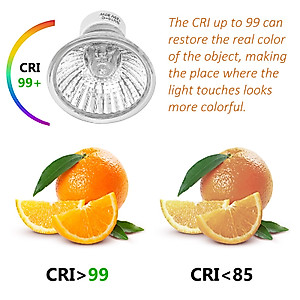 qinghemengxia GU10 Halogen Bulb 120v 50w Halogen Light Bulbs, 2800k Warm White gu10 Dimmable for Track Light Bulbs Glass Cover for Range Hood Light Bulbs Pack of 6