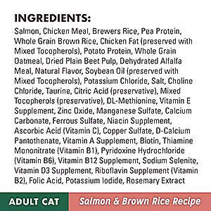 NUTRO WHOLESOME ESSENTIALS Adult Natural Dry Cat Food Salmon & Brown Rice Recipe, 3 lb. Bag