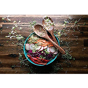 Rainbow Radish Sprouting Seeds Mix | Heirloom Non-GMO Seeds for Sprouting & Microgreens | Contains Red Arrow, Purple Triton & White Daikon Radish Seeds 1 lb Resealable Bag | Rainbow Heirloom Seed Co.